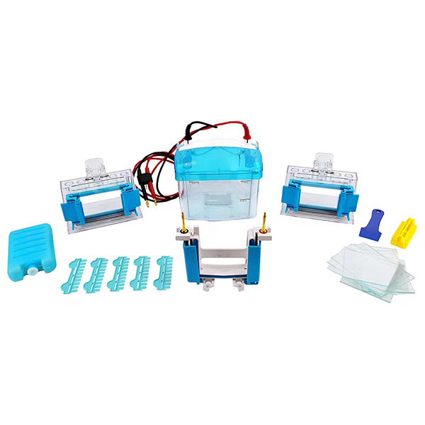 China Protein Electrophoresis Equipment DYCZ-MINI2 Manufacturer and ...
