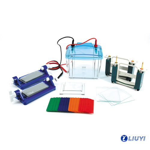 China Protein Analysis System Manufacturer and Supplier, Factory ...